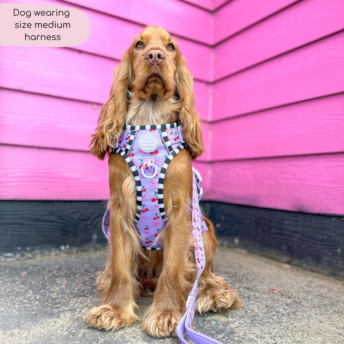 Tough Trails™ Harness - Cherry Bomb – Pawsome Paws Boutique - Wholesale