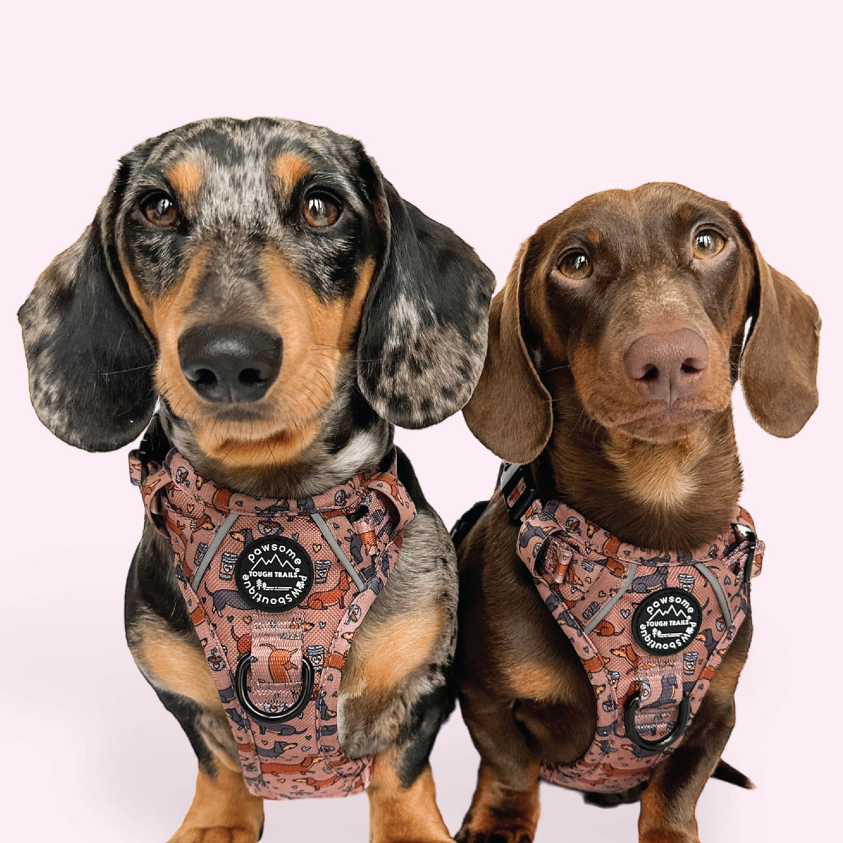 Coffee Beans + Little Weens – Pawsome Paws Boutique - Wholesale