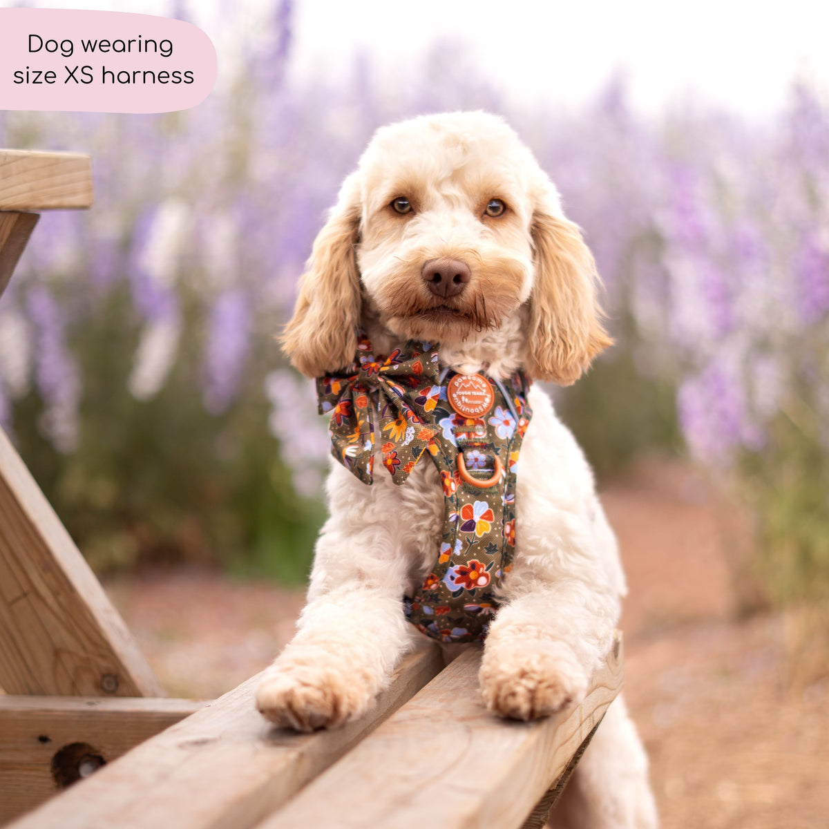Tough Trails™ Harness - Rust & Bloom – Pawsome Paws Boutique - Wholesale