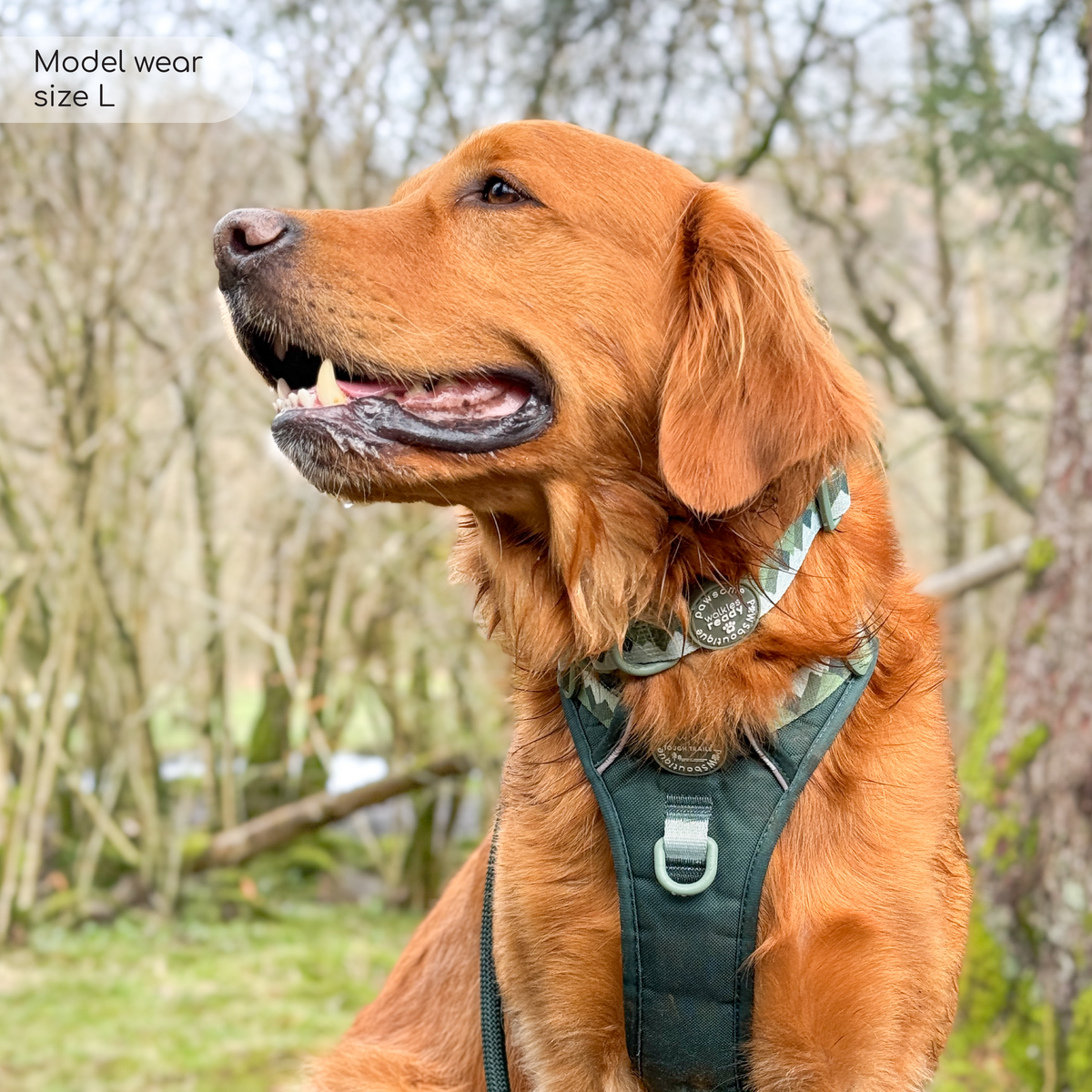Tough Trails™ Harness - Walkies Ready® Forest Green – Pawsome Paws ...