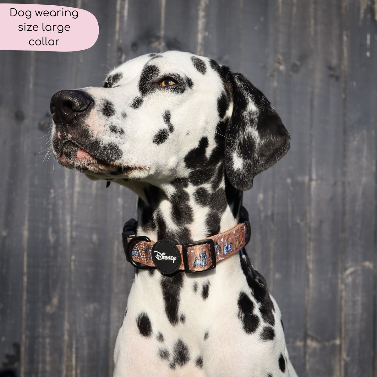 Disney© Collar - Disney Dogs – Pawsome Paws Boutique - Wholesale