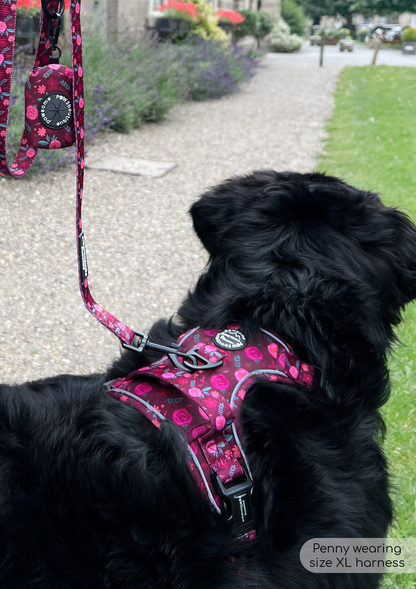 Tough Trails™ Harness - Mable's Meadow – Pawsome Paws Boutique - Wholesale